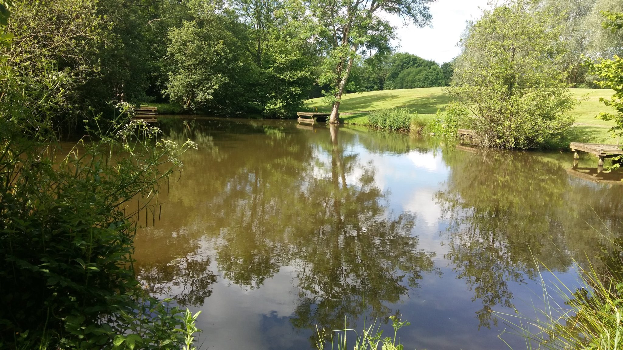 Gallery – Henfold Lakes